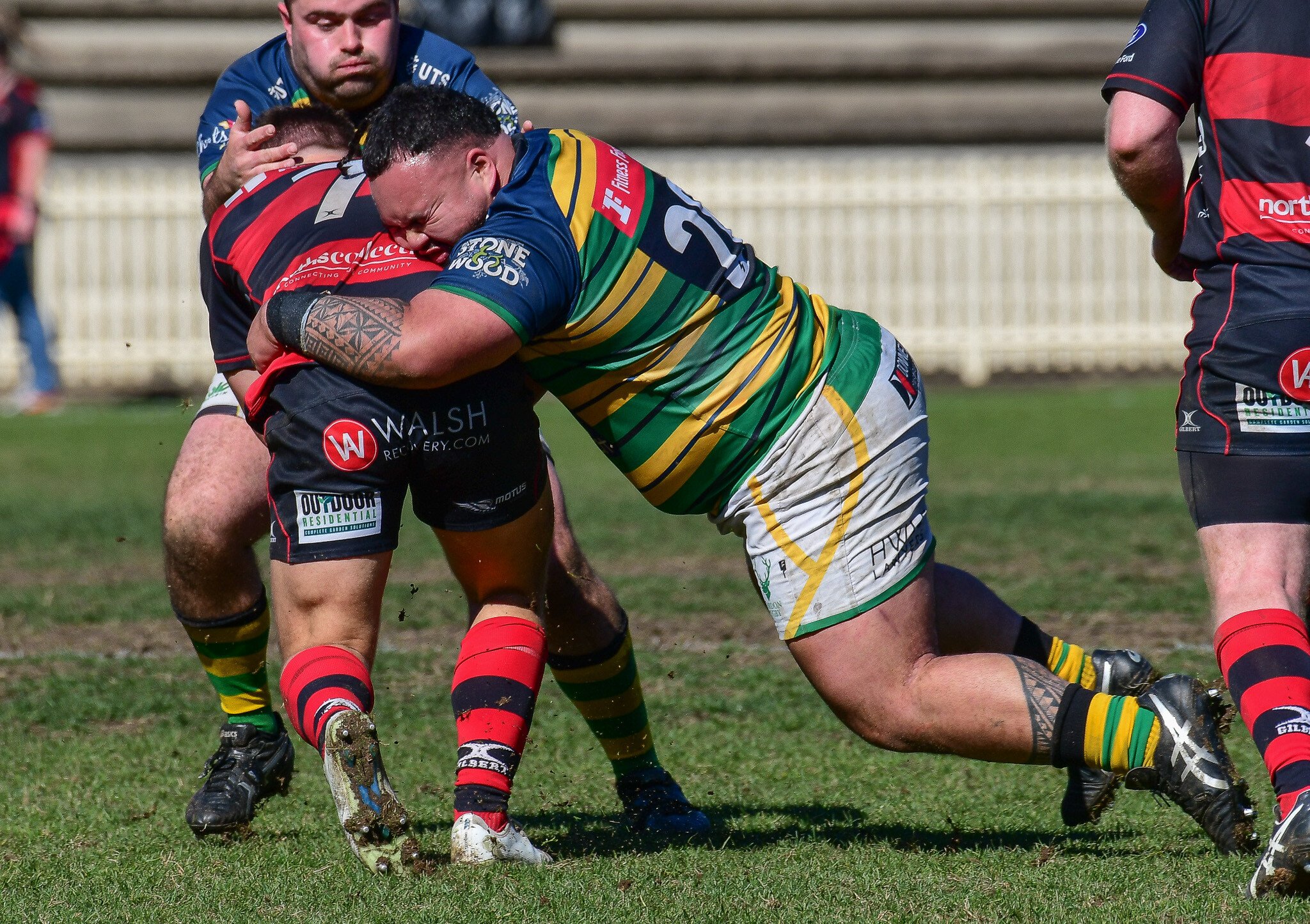 Shute Shield Teams